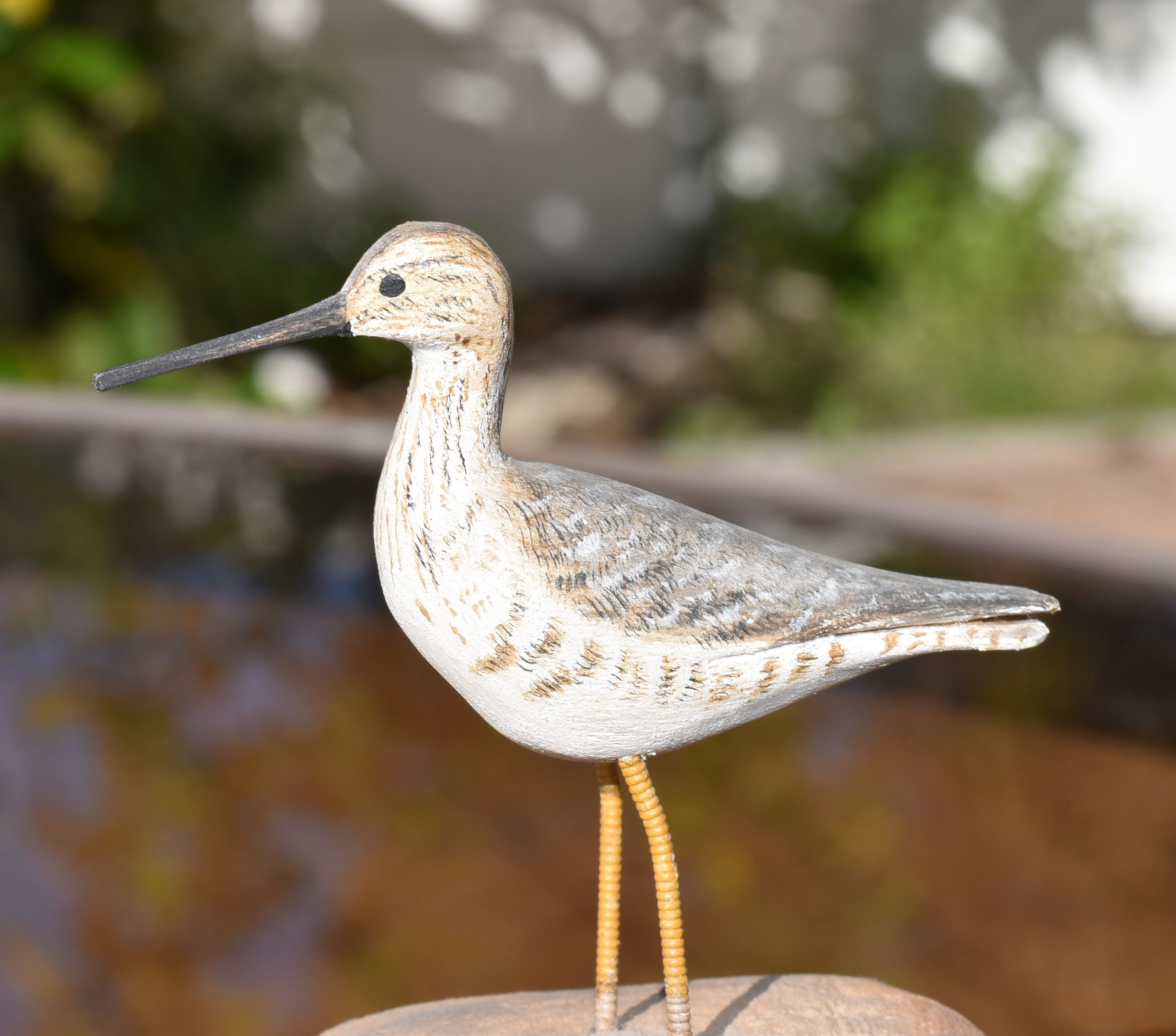 BlogBits™: Yellowlegs - Costello Coastal Knobs