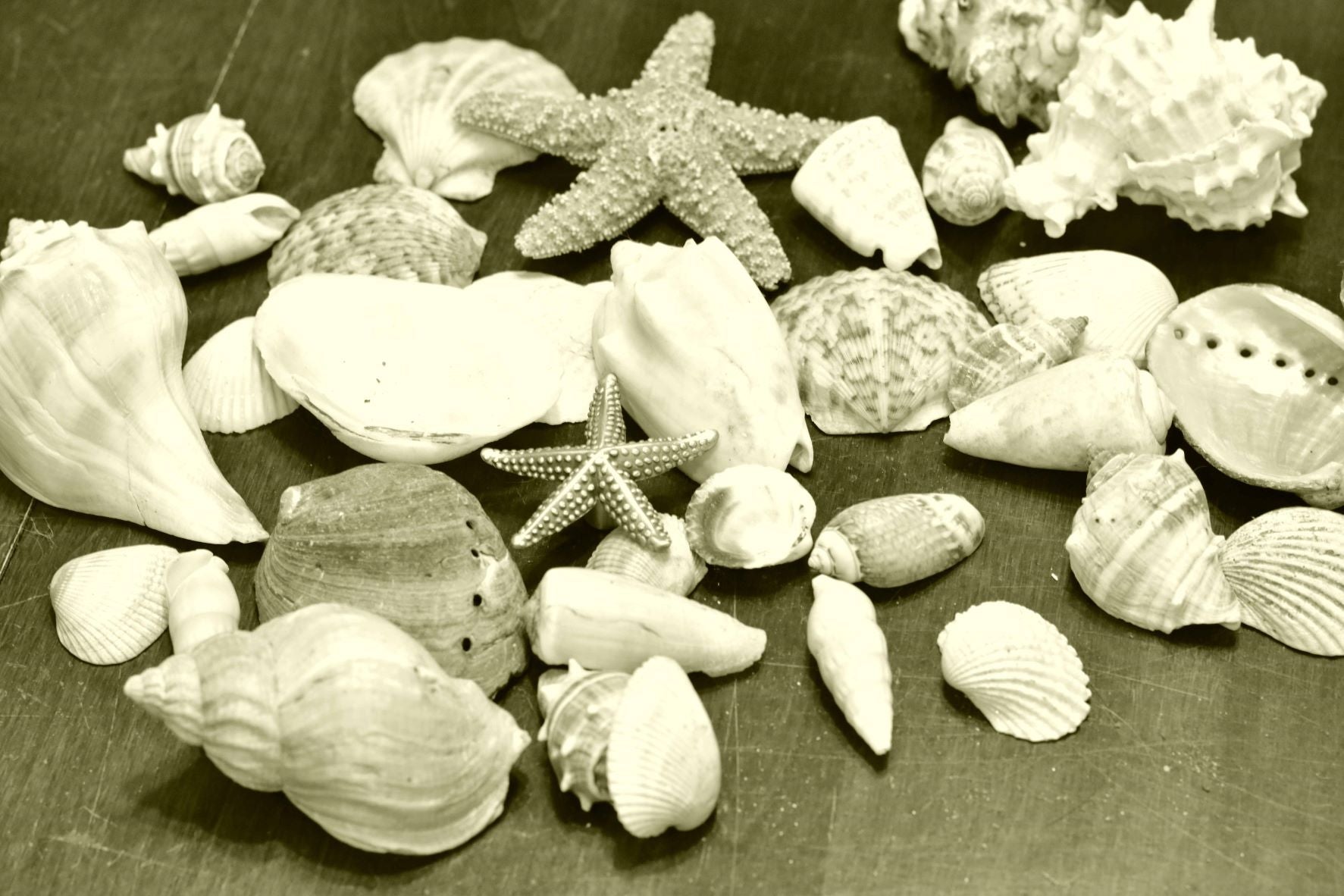 BlogBits™: Which is Which? - Costello Coastal Knobs