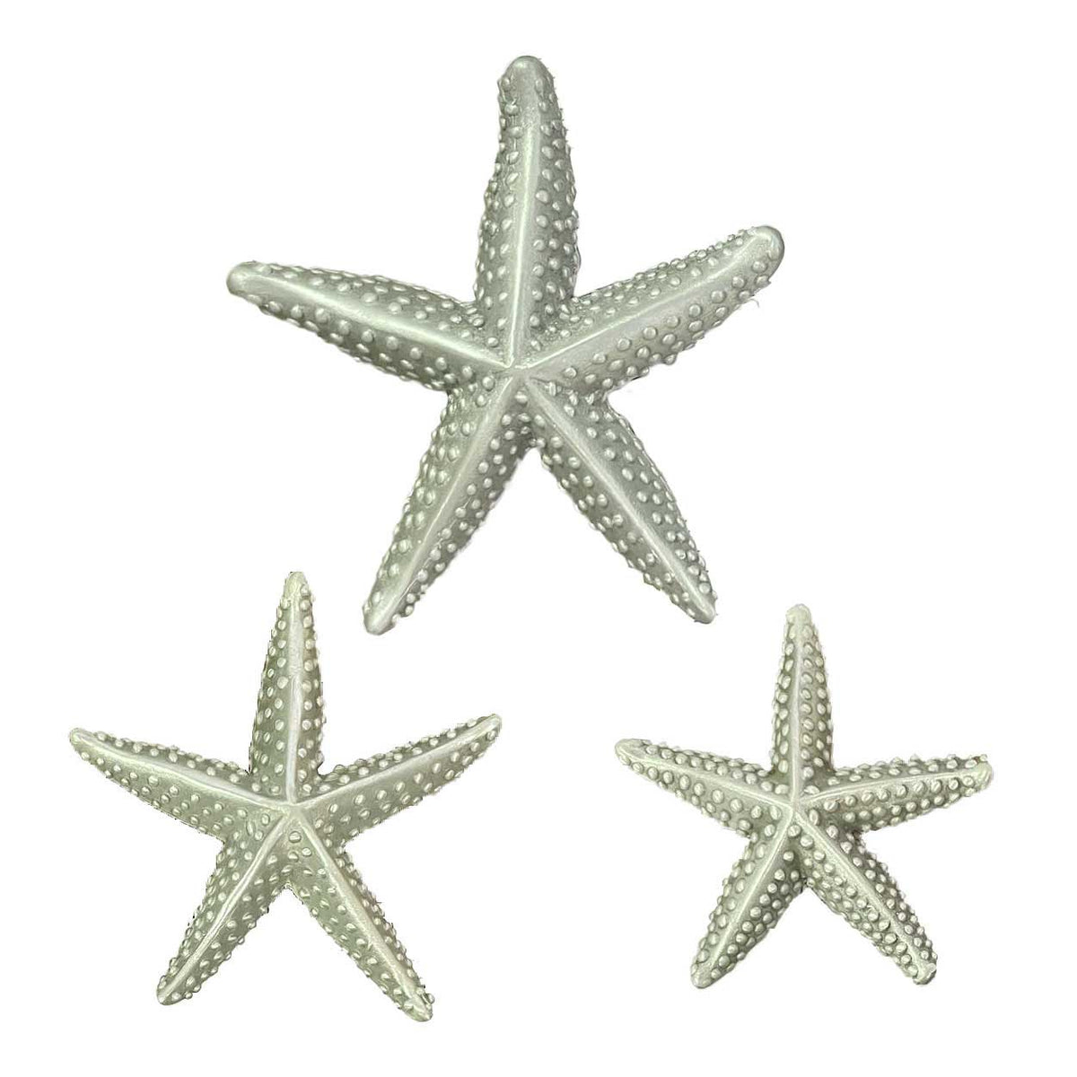 Costello Coastal Knobs