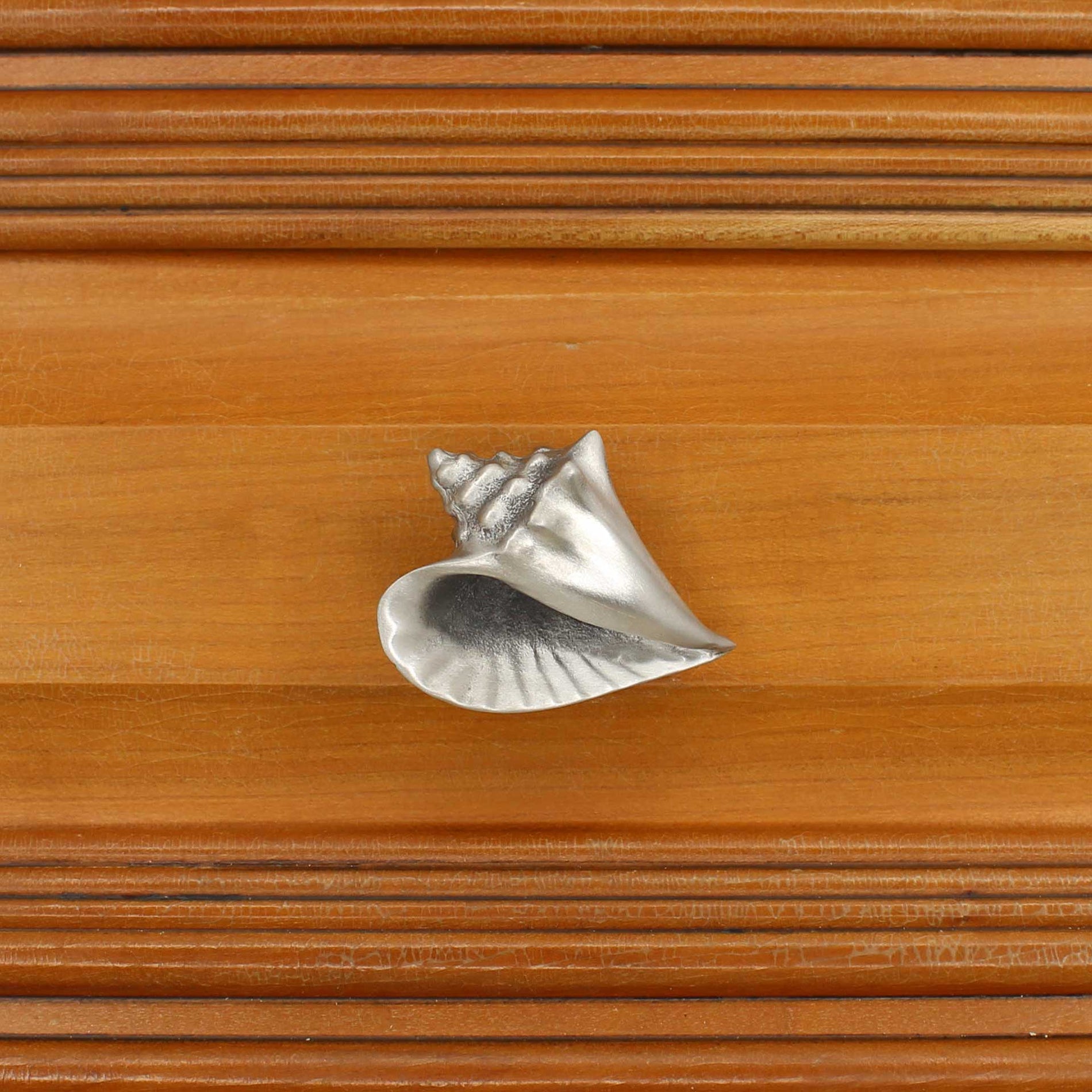 Conch Shell Cabinet Knob, Small, Left Opening Flange - Costello Coastal Knobs