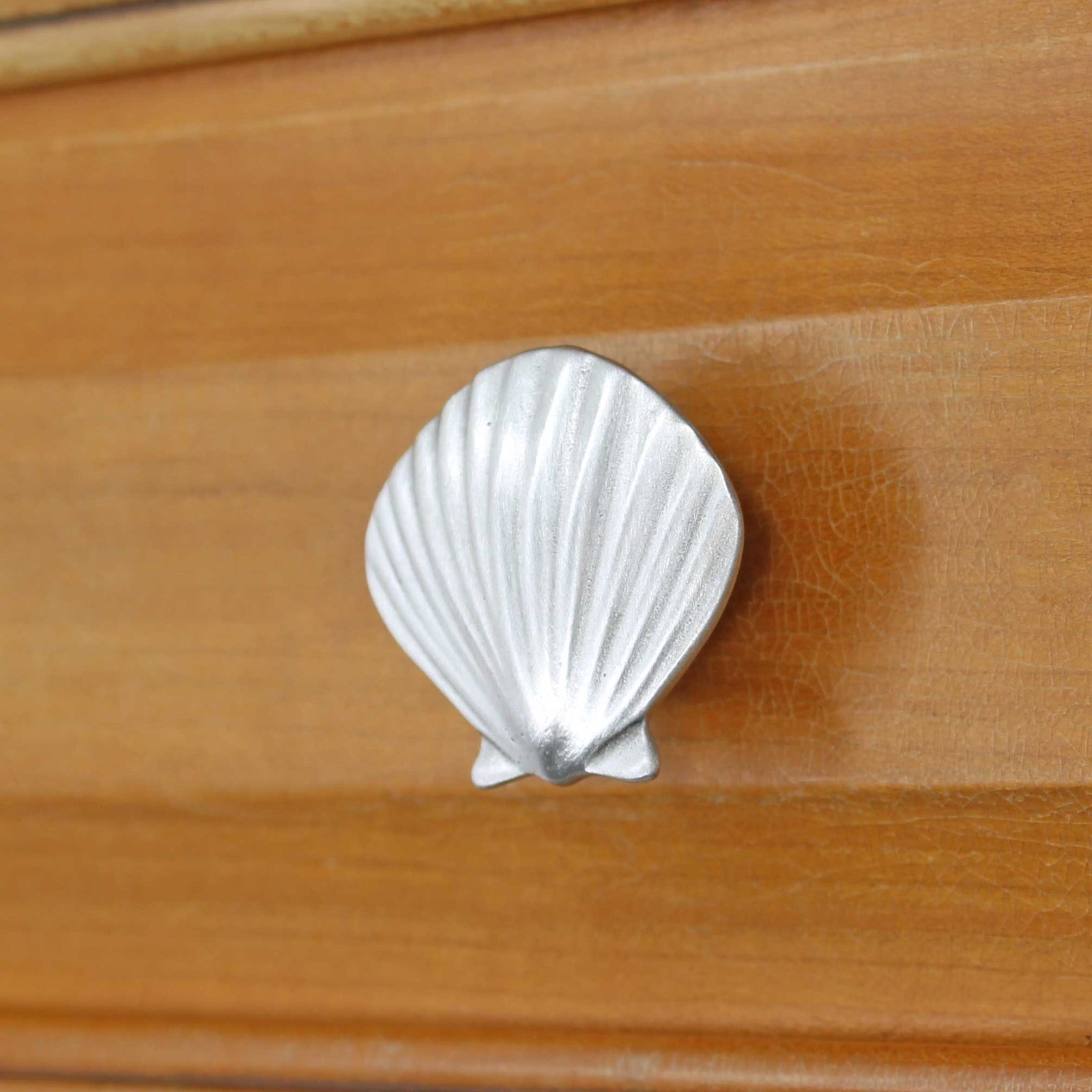Seashell Knob, Small - Costello Coastal Knobs