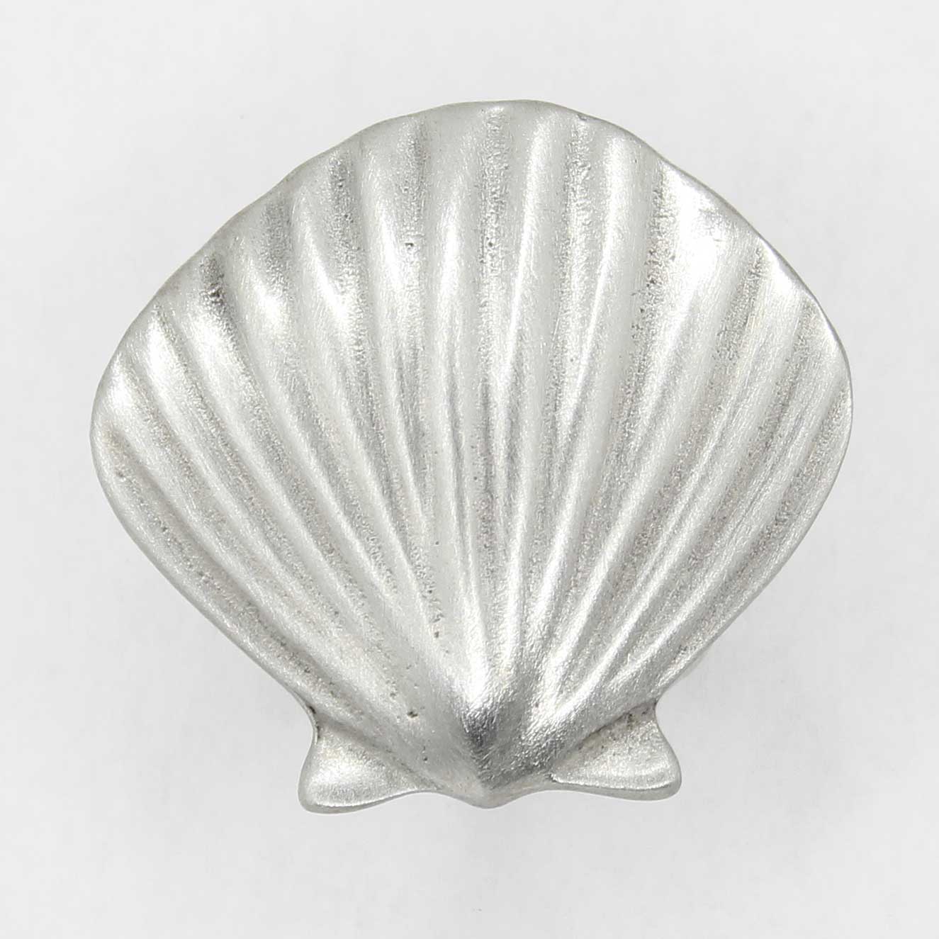 Seashell Knob, Small - Costello Coastal Knobs