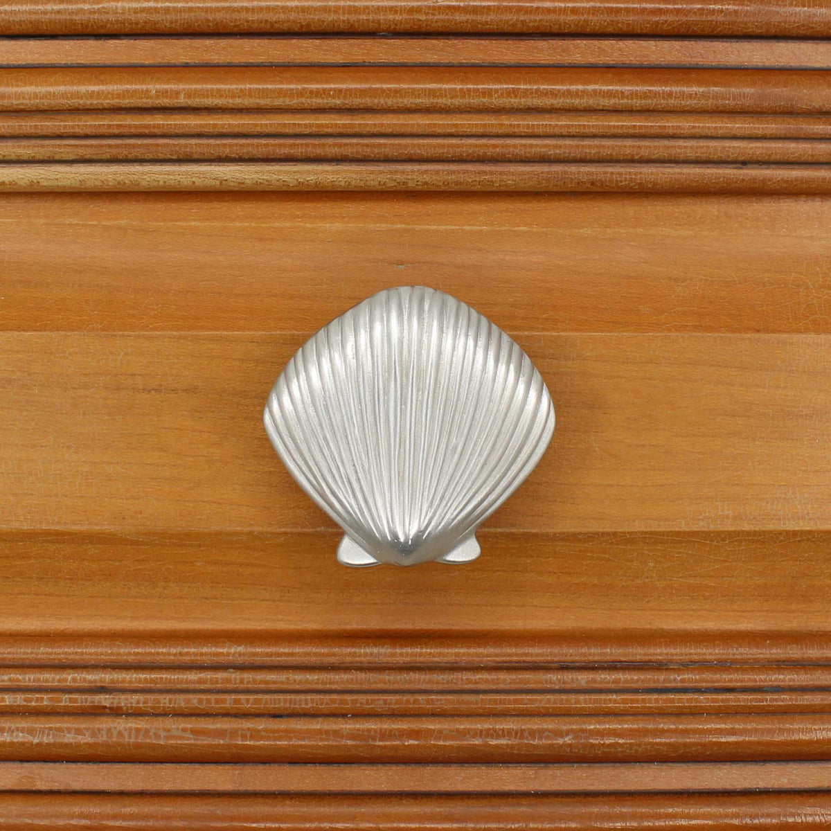 Seashell Cabinet Knob, Medium