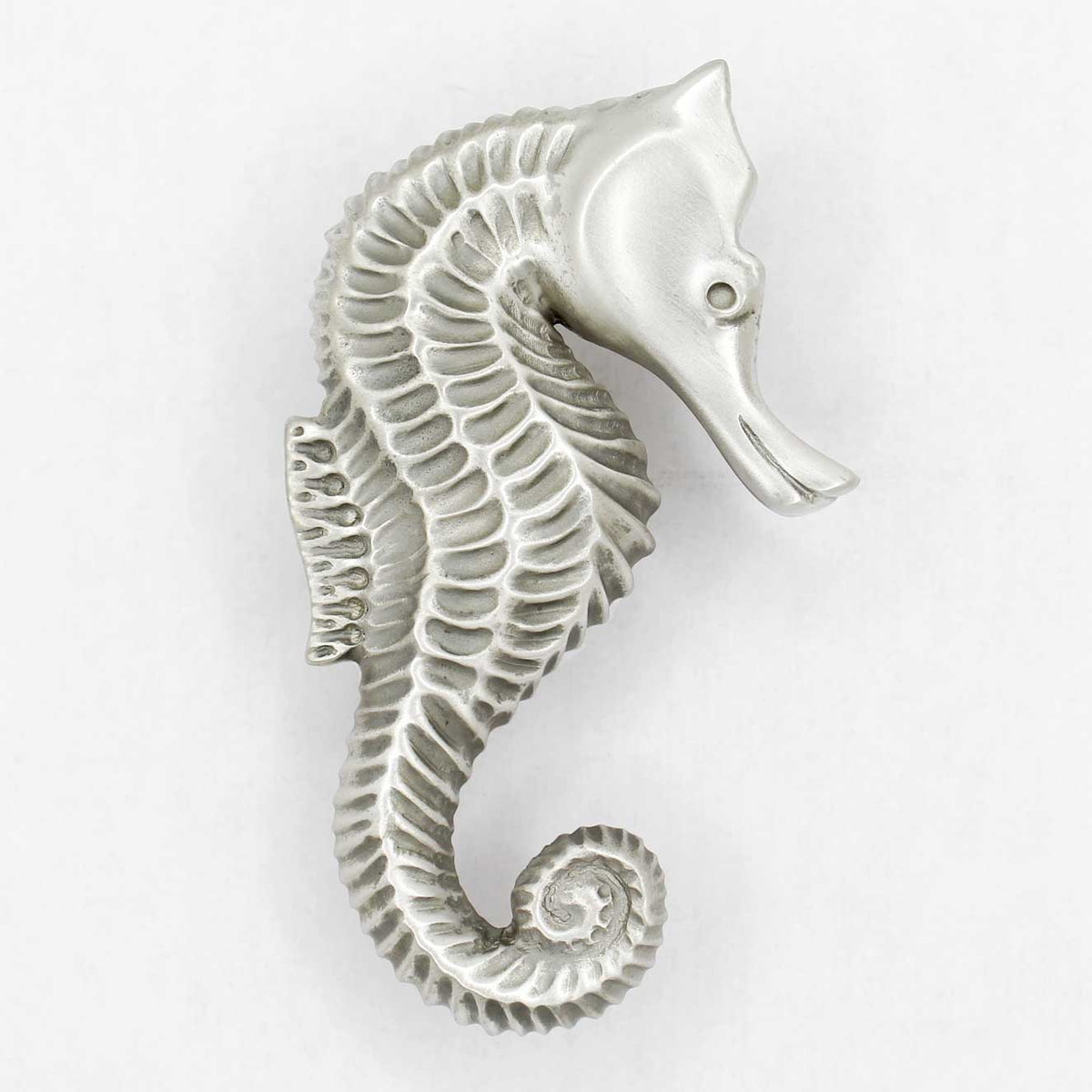 Sea Shell Cabinet Knobs and Pulls